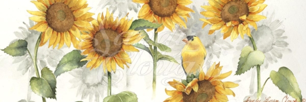 home meet sandy art for licensing login contact shop